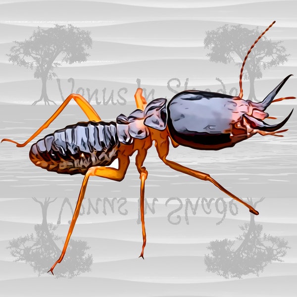 Termite - Etsy