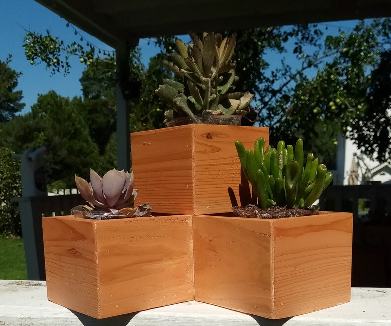 Cedar Handcrafted CACTI / Succulents Tower - Etsy