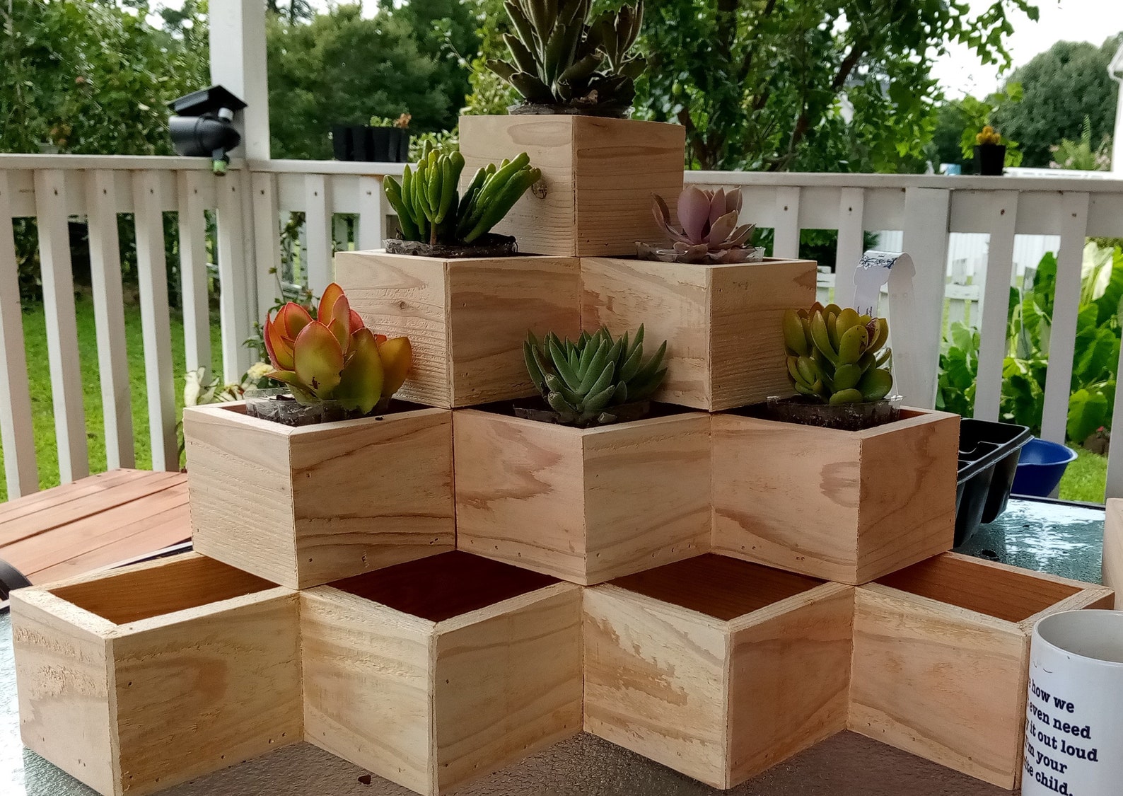 Cedar Handcrafted CACTI / Succulents Tower - Etsy Canada
