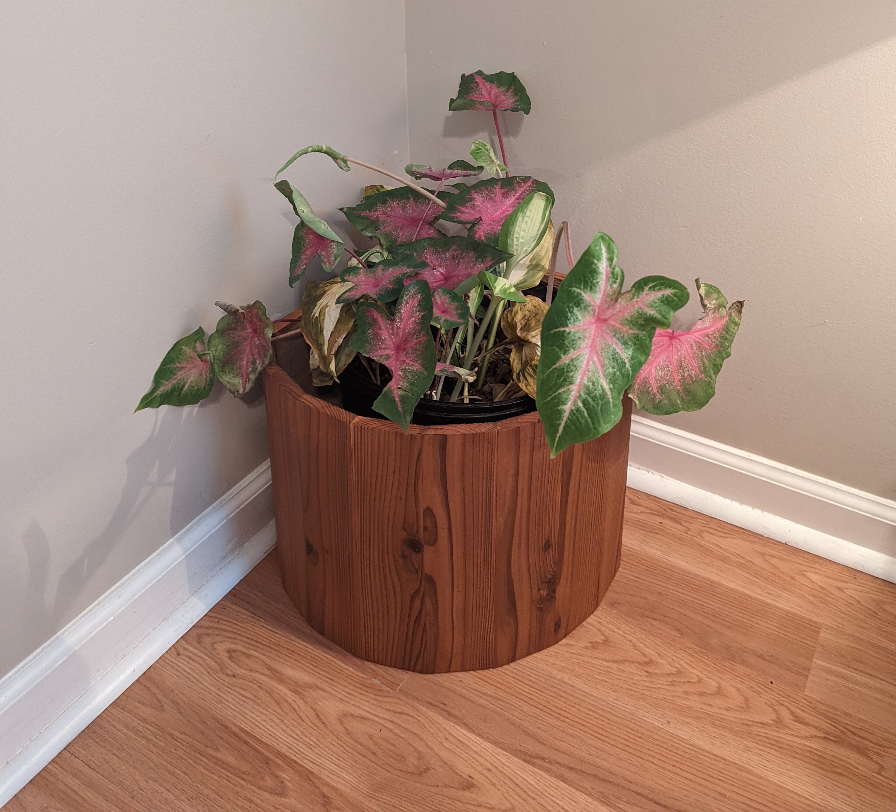 Indoor Cedar Corner Planter Box Flower Box - Etsy