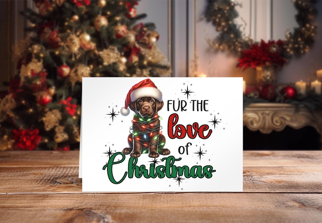 Christmas Cards Chocolate Labrador Design, Custom Holiday Greeting ...
