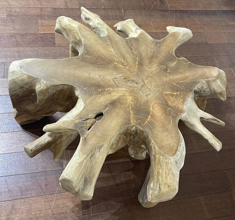 Large Round Teak Root Coffee Table: Live Edge Driftwood Accent - Etsy