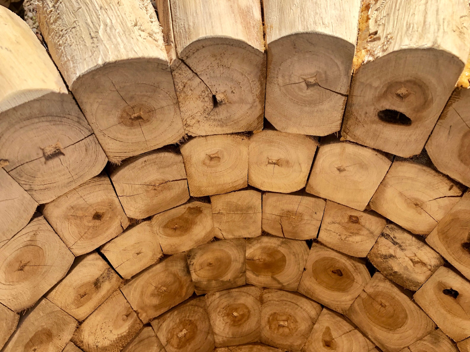 Live Edge Teak Root Glass Top Coffee Table Teak Planter Teak - Etsy