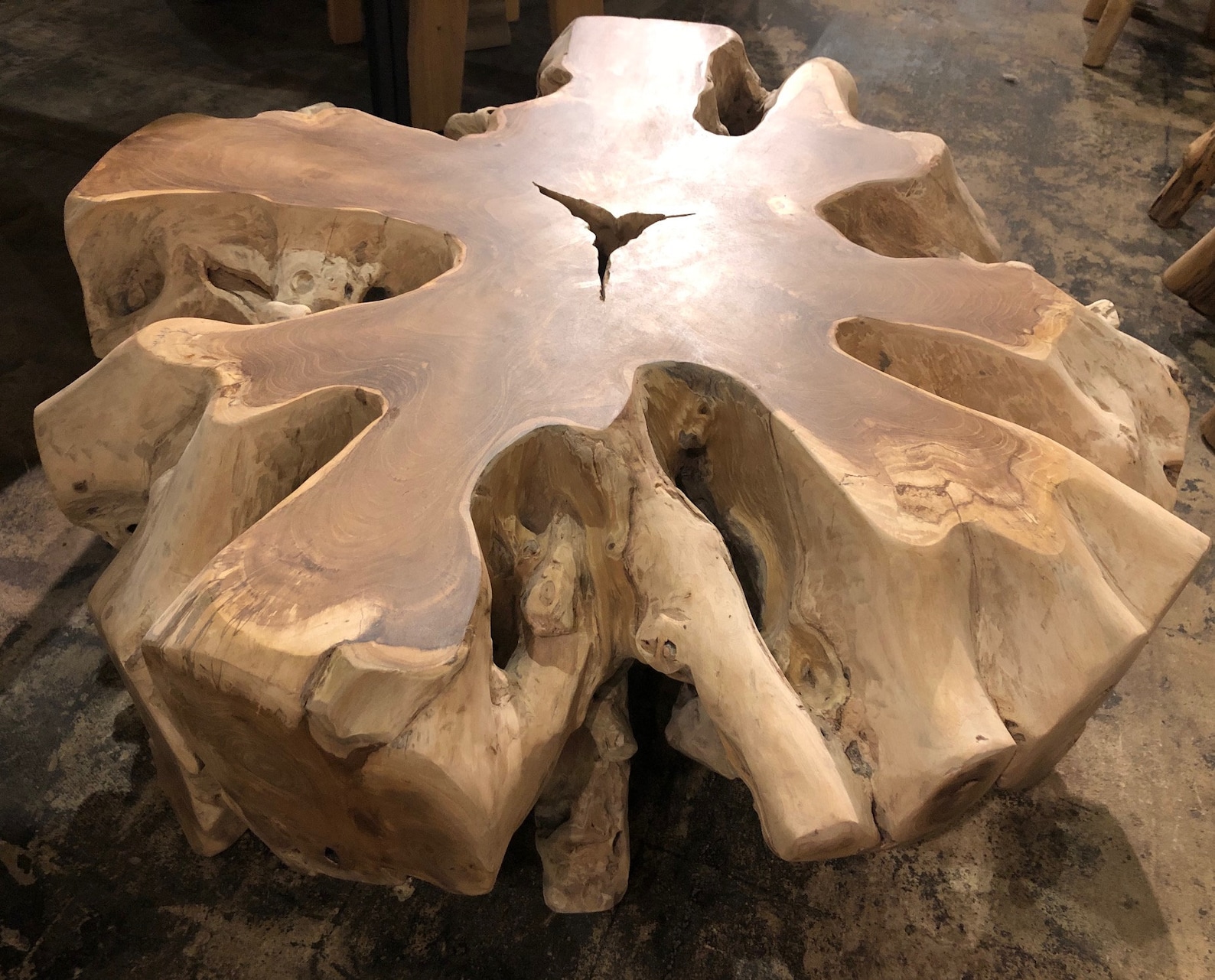 Large Round Teak Root Coffee Table: Live Edge Driftwood Accent - Etsy