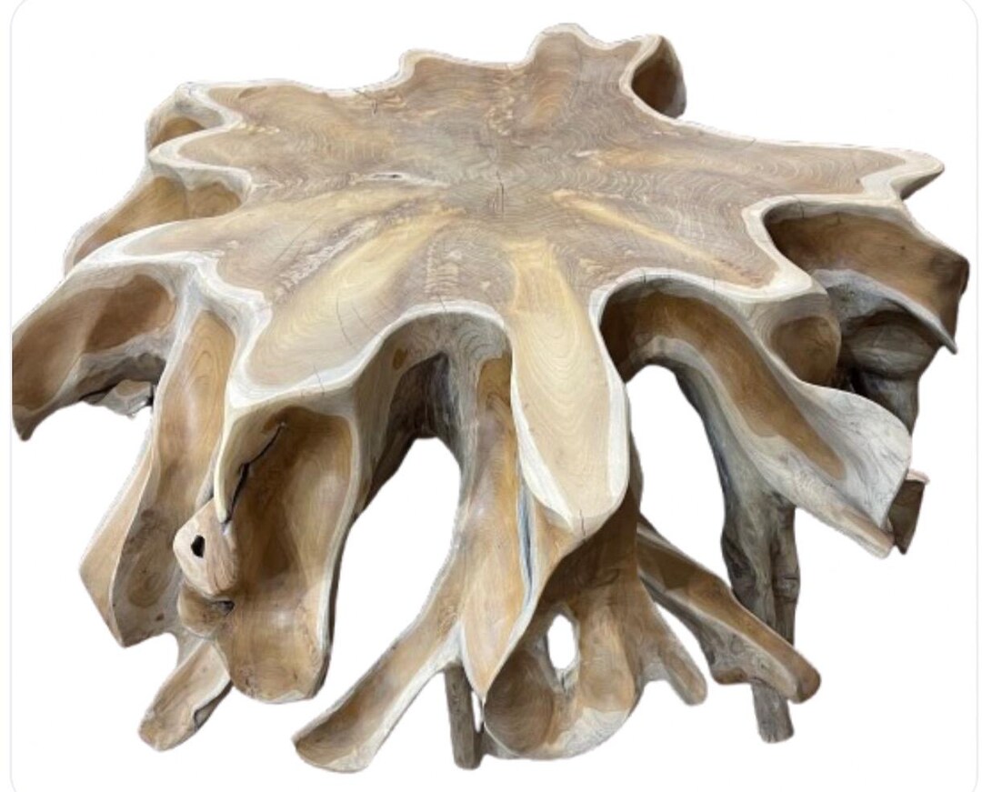 Large Round Teak Root Coffee Table Live Edge Teak Driftwood Accent ...