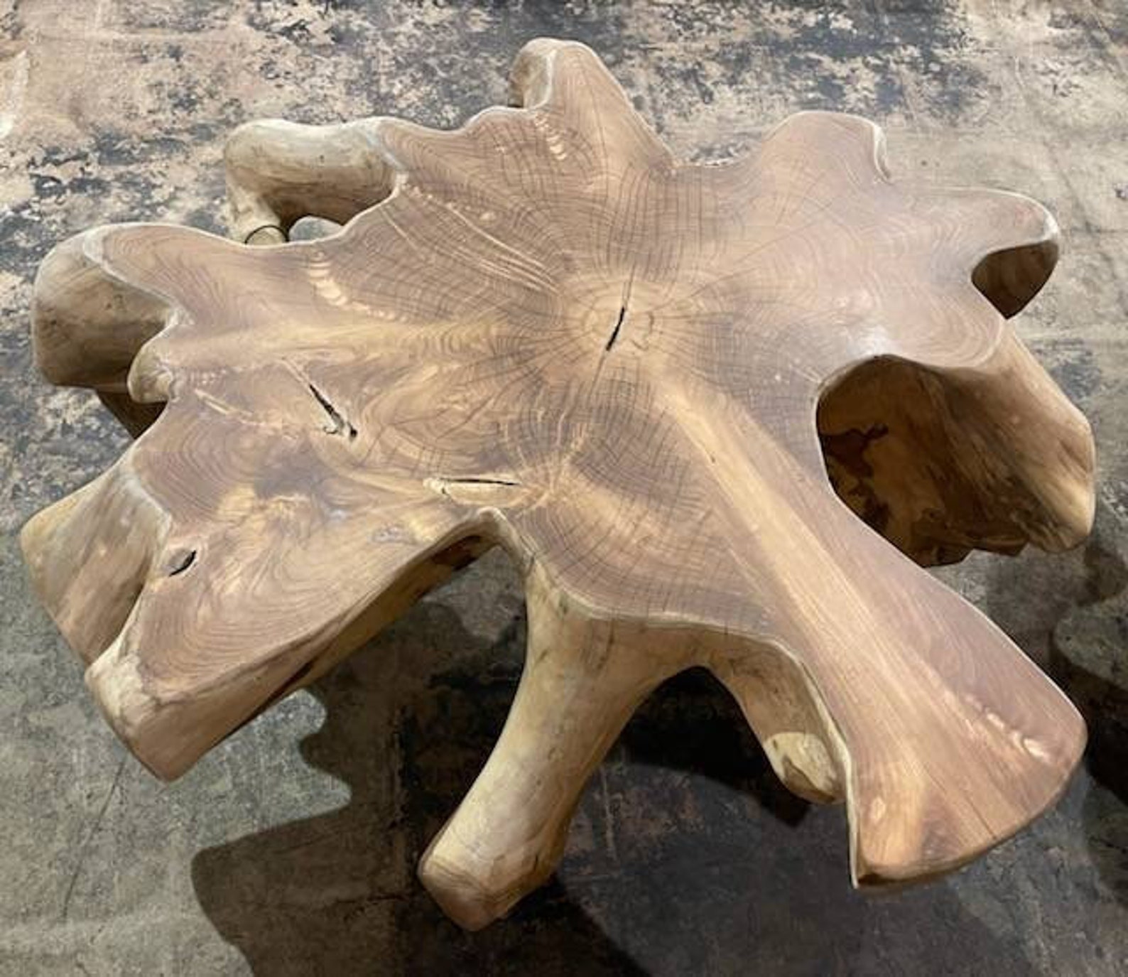 Large Round Teak Root Coffee Table Live Edge Teak Driftwood Accent ...
