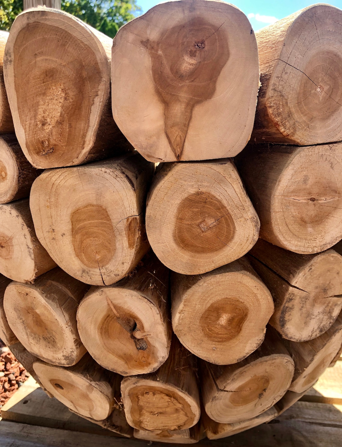 Live Edge Teak Root Glass Top Coffee Table Teak Planter Teak - Etsy