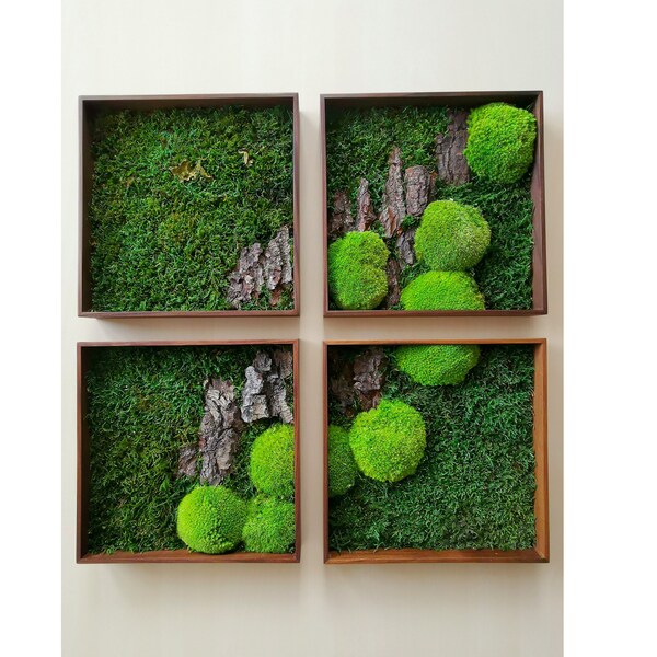 Moss Frame - Etsy