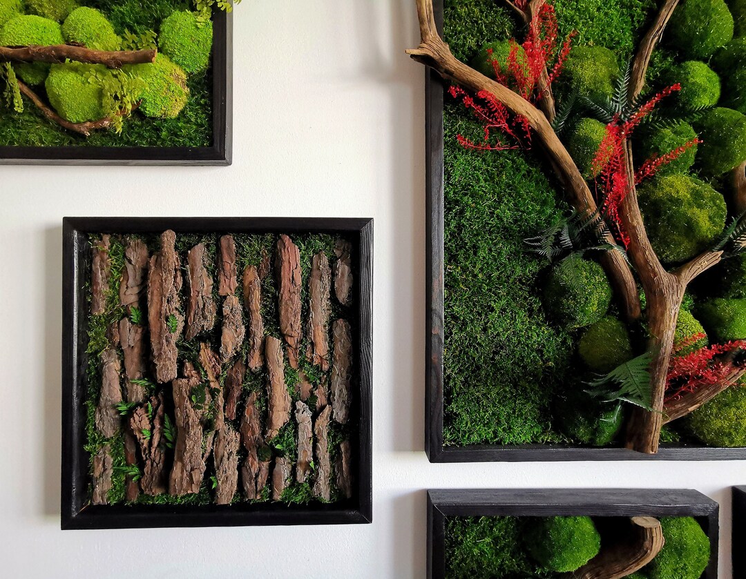 Moss Wall. Greenwall. Moss Frame. Preserved Moss. Moss Art. Moss Wall ...