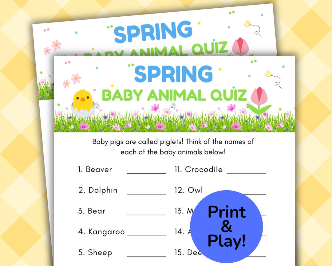 Spring Baby Animal Quiz, Printable Spring Activity for All Ages, Spring ...