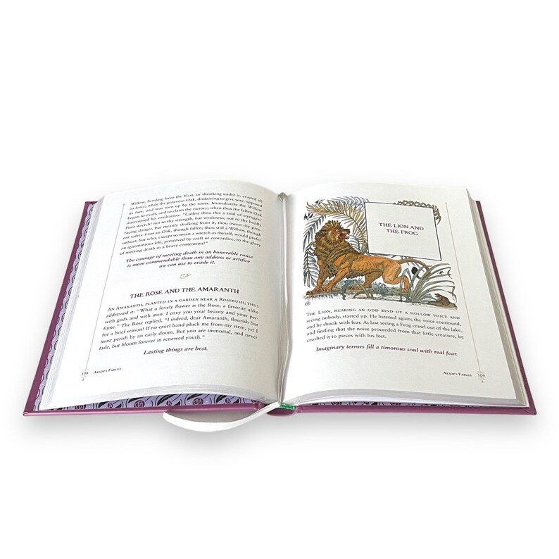 AESOP'S ILLUSTRATED FABLES Fairy Tales Collectible - Etsy