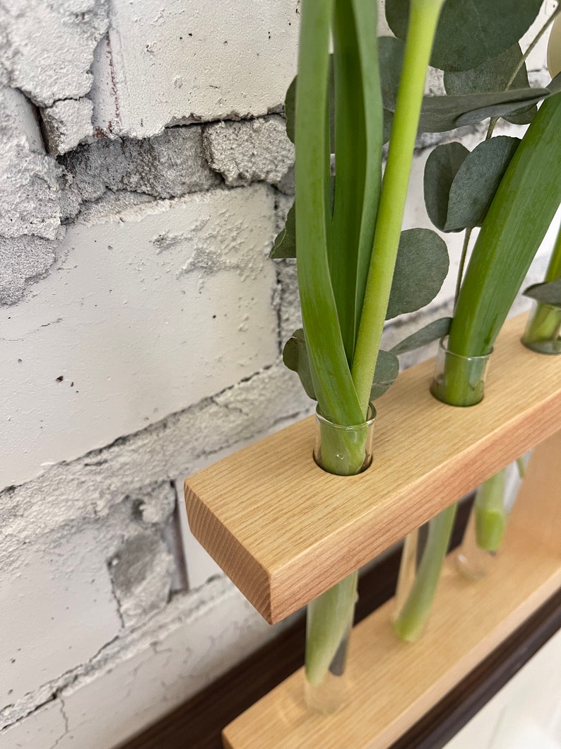 A Flower Stand in a Test Tube, Test Tube Vases, Propagation Stand ...