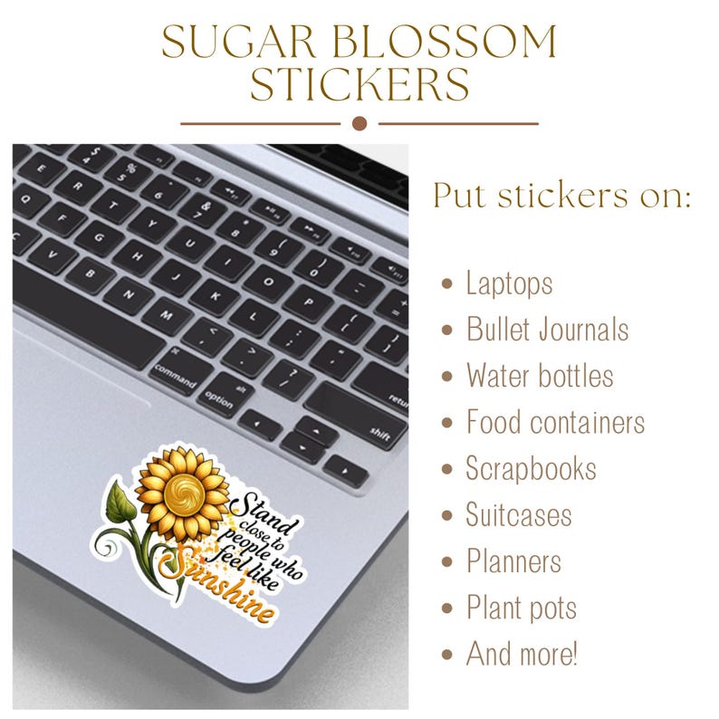 Sarcastic Funny Quote Stickers, Meme Stickers, Laptop Stickers, Bullet ...