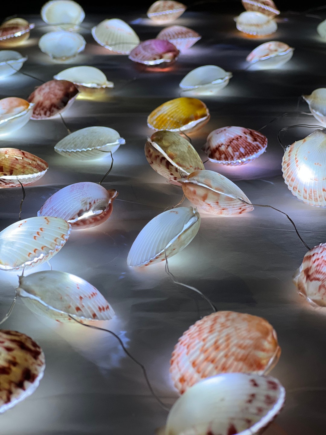 Unique Beautiful Scallop Cool Shade LED String of 50 Lights 3AA ...