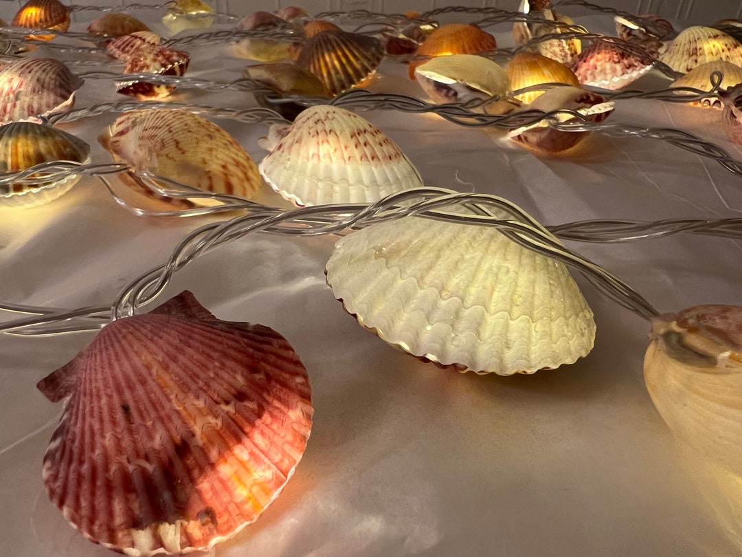 UNIQUE String/strand of Sea Shell Lights 100 Lights/200 Shells 30 Feet ...