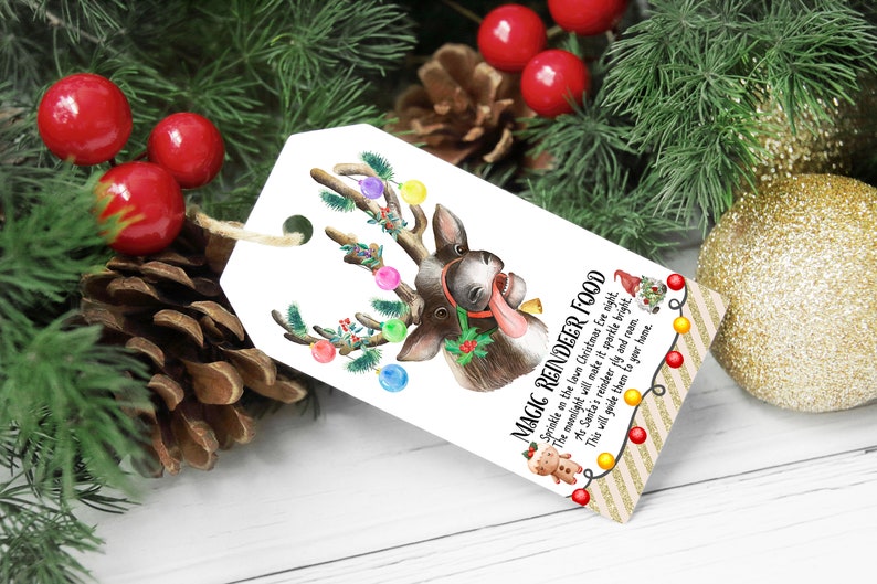 Magic Reindeer Food Gift Tag Template Editable Christmas Eve - Etsy