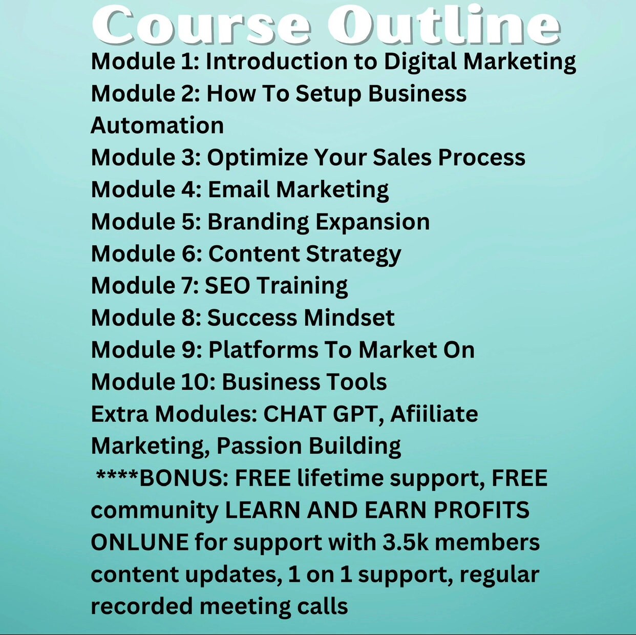 LEPO MAX Digital Marketing Online Course Master Resell Rights, Learn ...