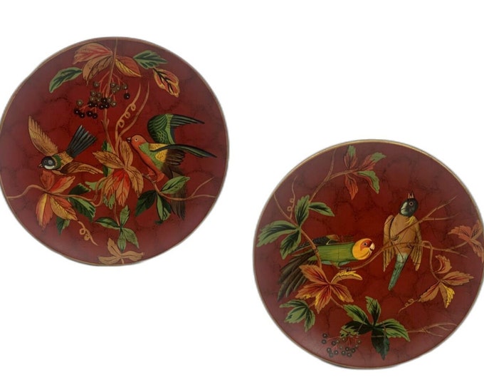 Bird Plates S/2 RARE VINTAGE Tropical Bird Decorative Plates ...