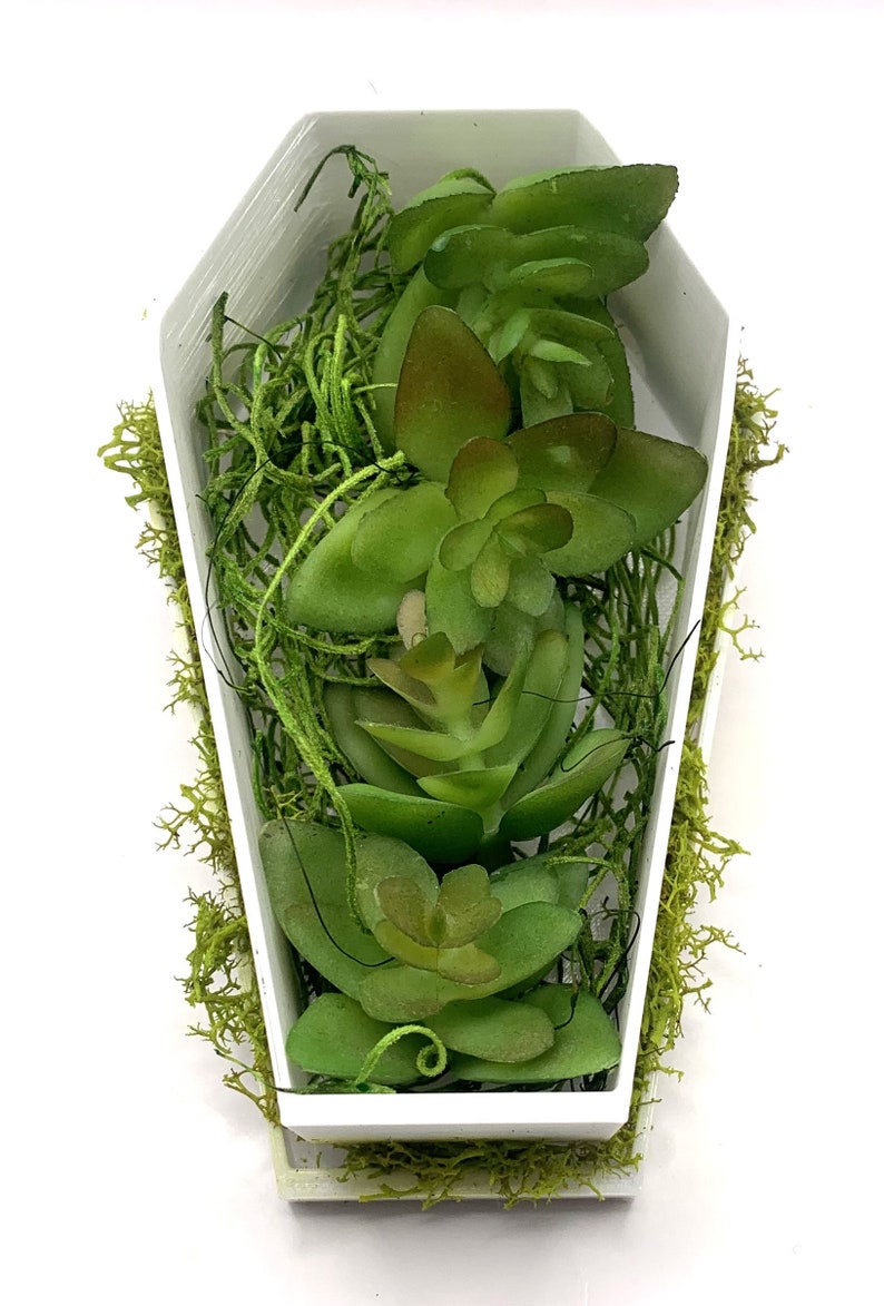 Coffin Planter With Drainage | 3D Printed | Coffin Planter | Succulent ...