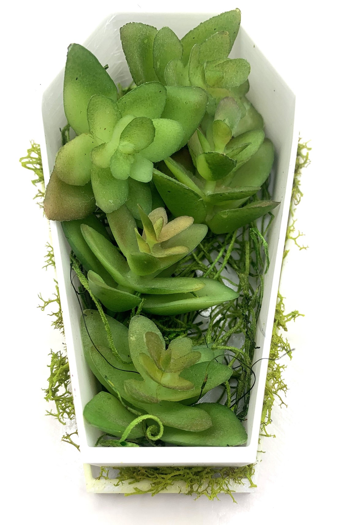 Coffin Planter With Drainage | 3D Printed | Coffin Planter | Succulent ...