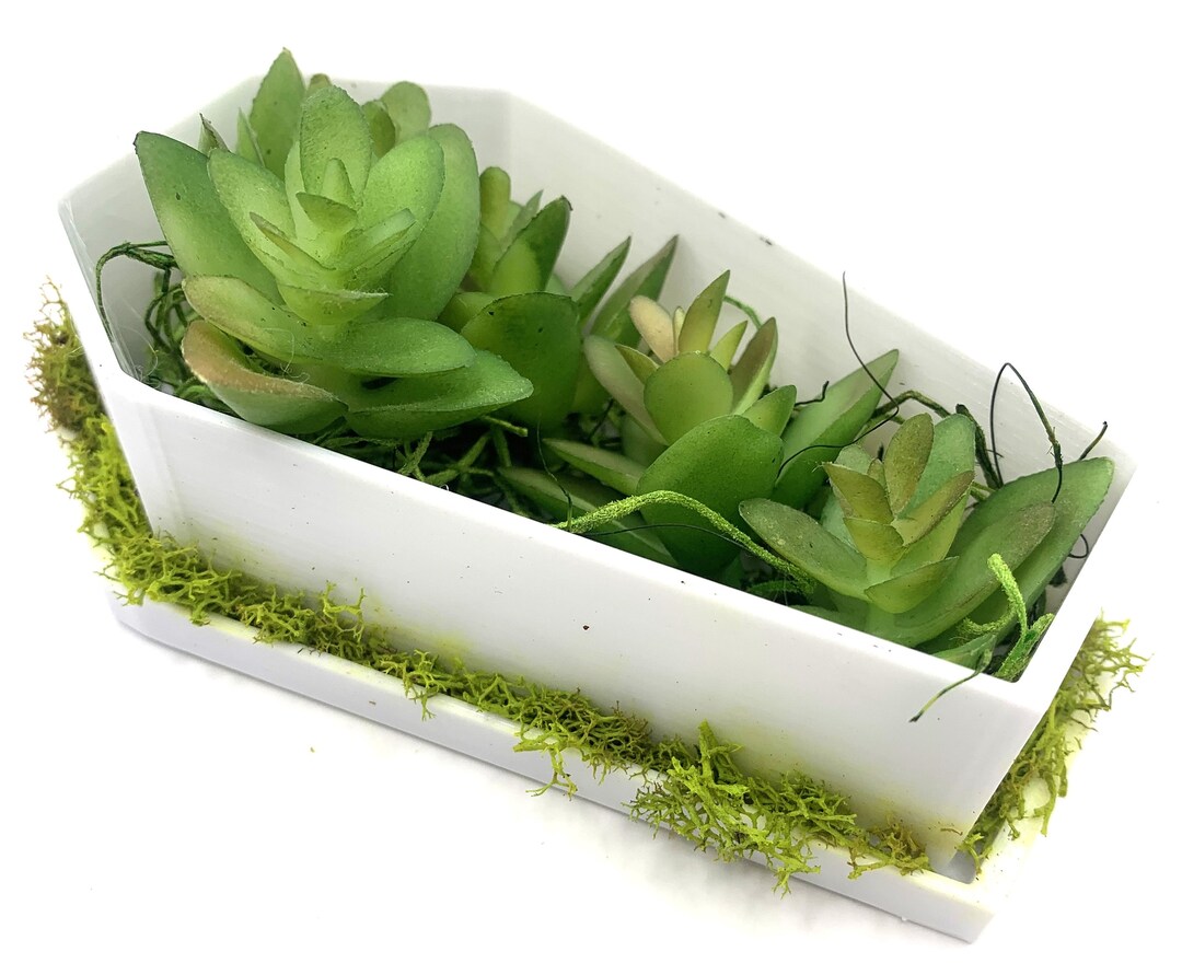 Coffin Planter With Drainage | 3D Printed | Coffin Planter | Succulent ...