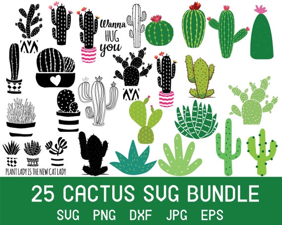 Cactus Svg Succulent Svg Cactus Clipart Cactus Print Svg - Etsy