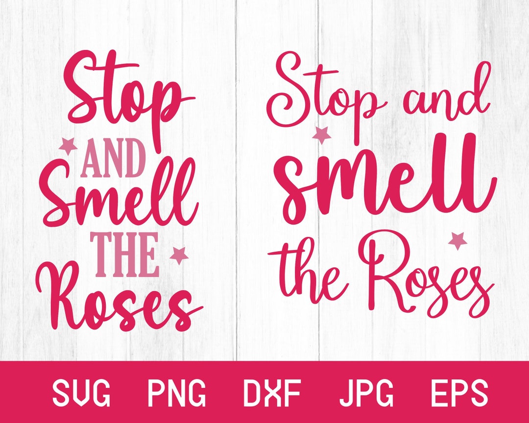 Stop and Smell the Roses Svg, Rose Svg, Spring Svg, Stop and Smell Svg ...
