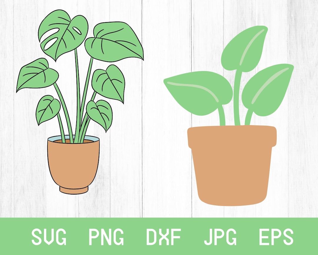 Plants Svg, Cactus Svg, Succulent Svg, Flower Svg, Gardening Svg ...