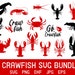 Crawfish Svg Crawfish Png Lobster Svg Crab Svg Sea Life - Etsy