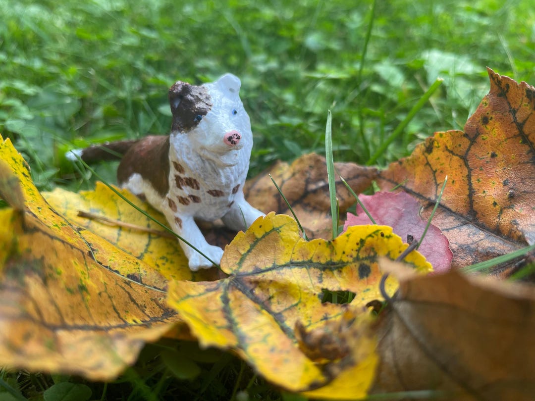 Safari Ltd. Custom Collie Mix - Etsy