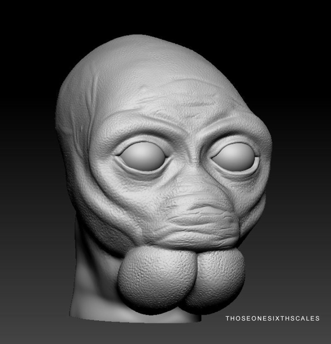 1/6th Ponda Baba Head Sculpt Digital File - Etsy