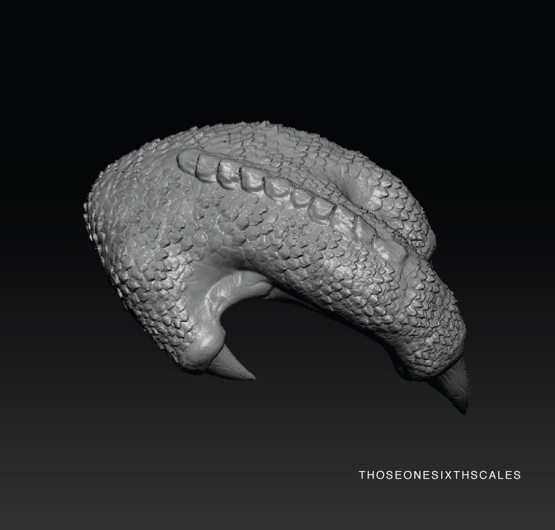 1/6th Trandoshan Hands / Feet Accessories - Etsy