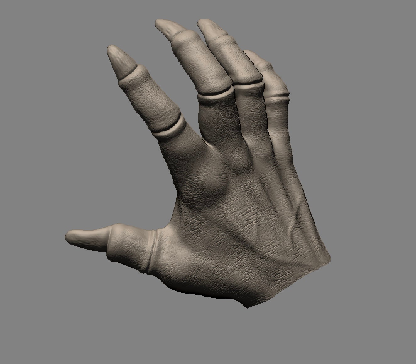 1/6th Bith Hand Sculpts Digital File - Etsy