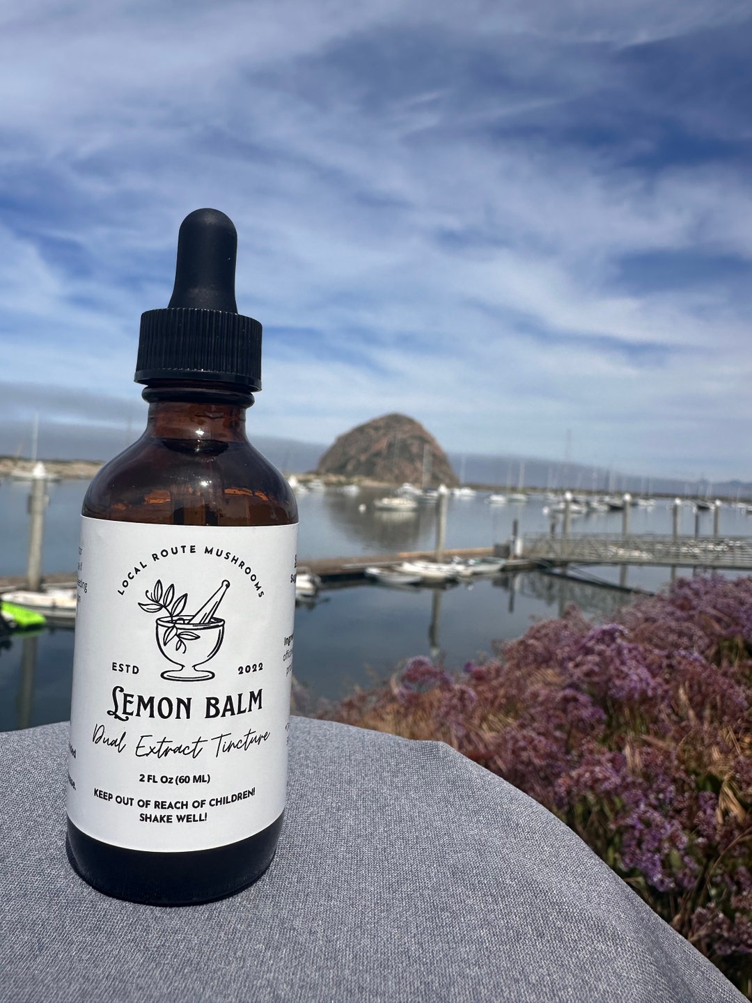 Lemon Balm Dual Extract Tincture - Etsy