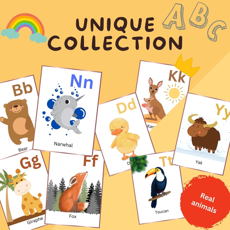 26 High-quality Alphabet Cards Real Animals Free ABC Poster Included - Etsy
