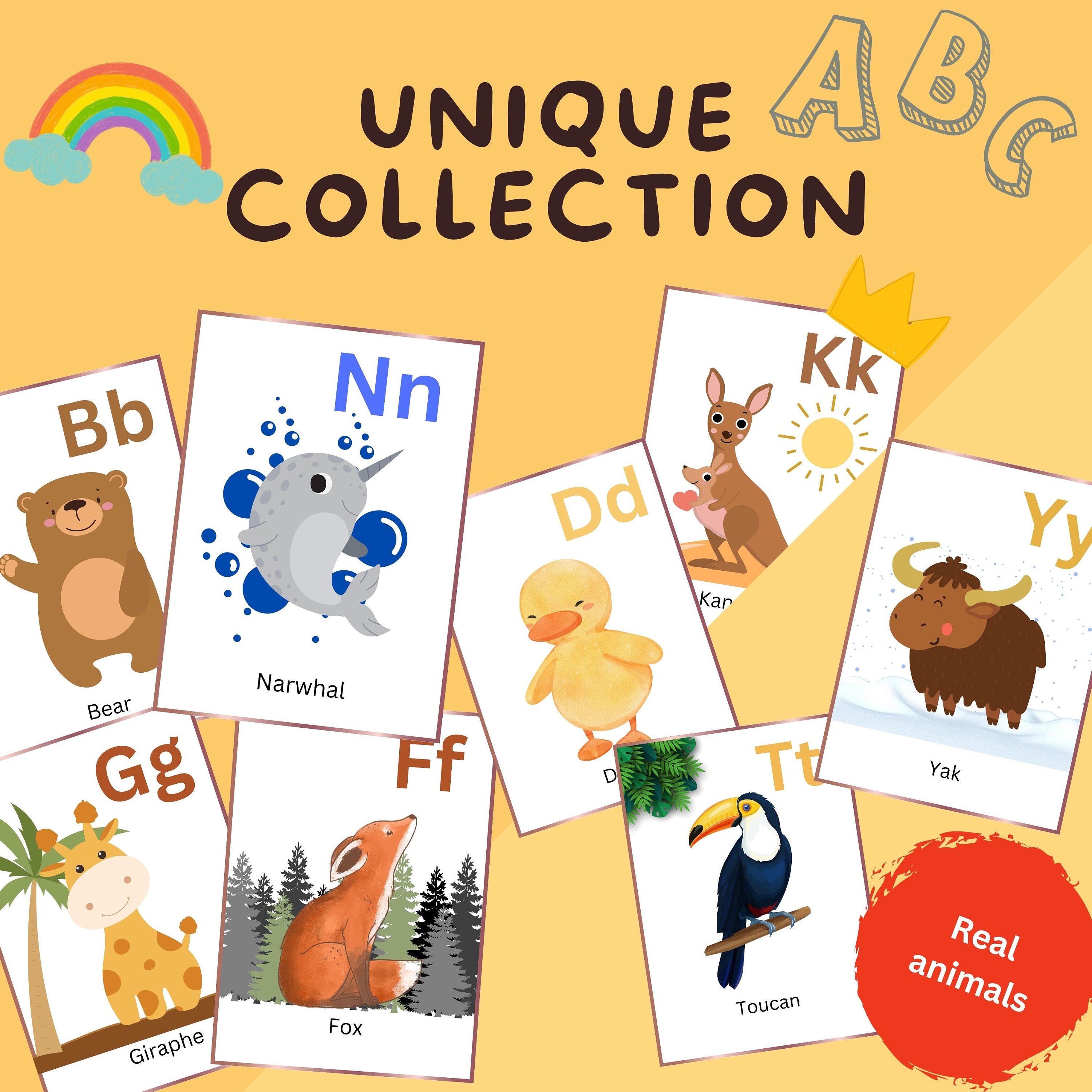 26 High-quality Alphabet Cards Real Animals Free ABC Poster Included - Etsy