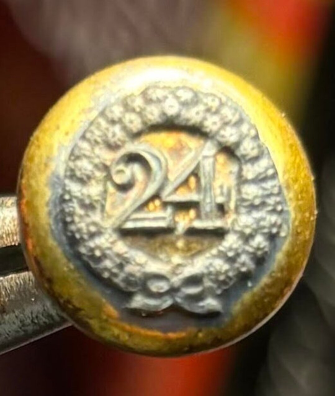1879 24th Regiment of Foot 2nd Warwick, Insignia, British Army Button ...