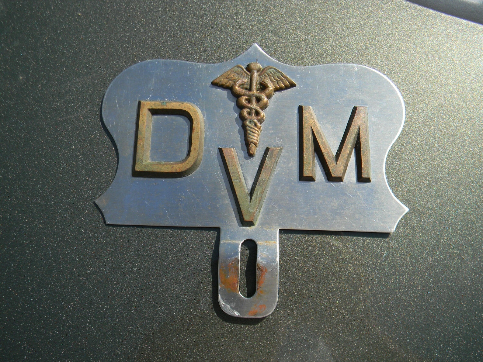 Veterinarian Caduceus Car Badge License Plate Topper DVM - Etsy