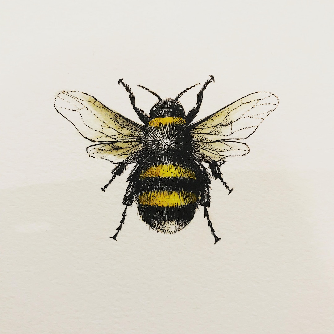 Bee Illustration - Original Art - Etsy