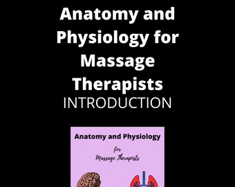 Massage Study Guide - Etsy