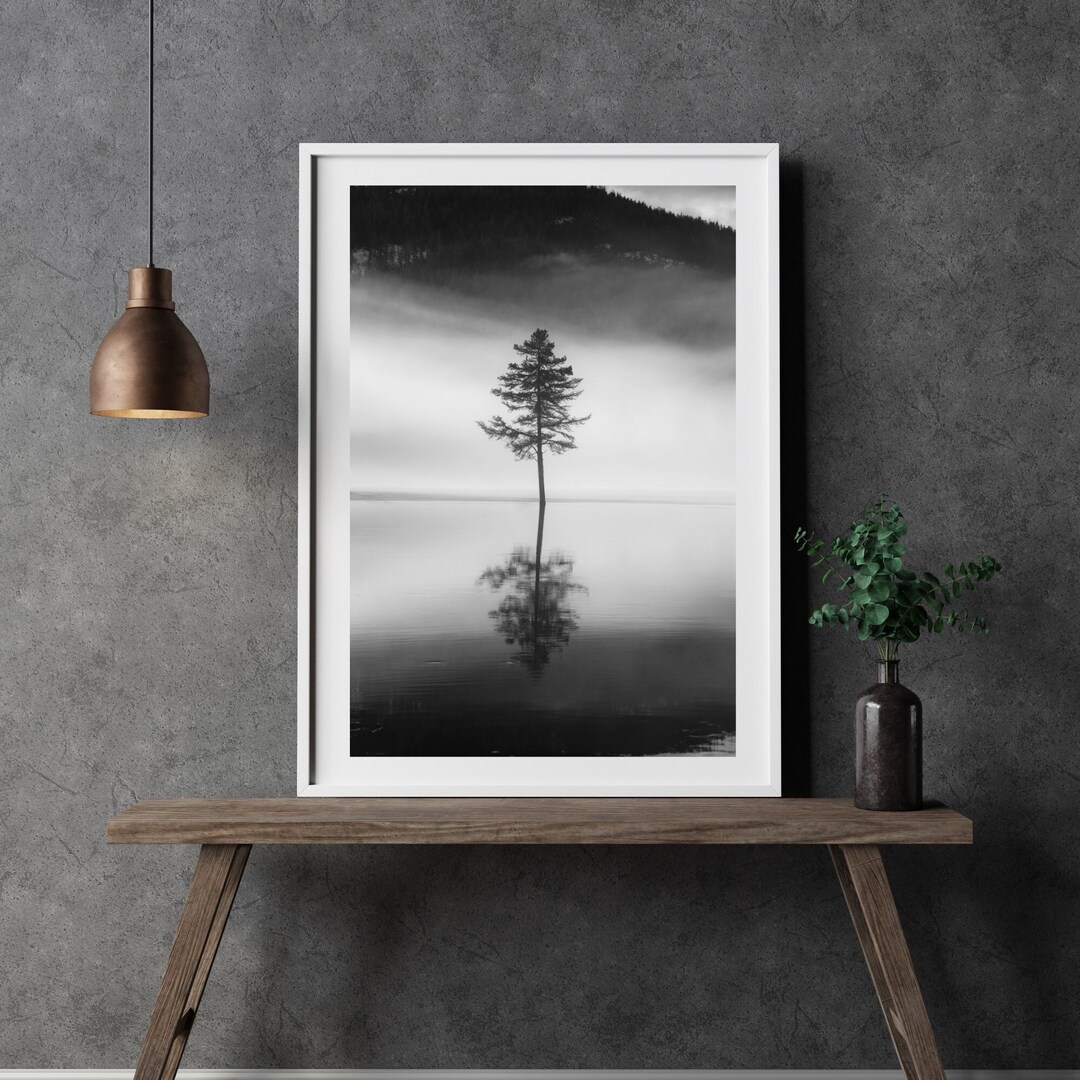 Solitary Tree Fine Art Photography Print Black White Outdoor ...