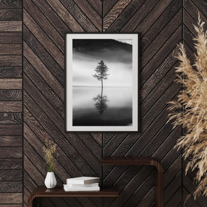 Solitary Tree Fine Art Photography Print Black White Outdoor ...