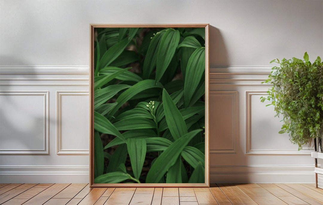 Lush Green Forest Foliage Print Printable Nature Wall Art, Calming ...