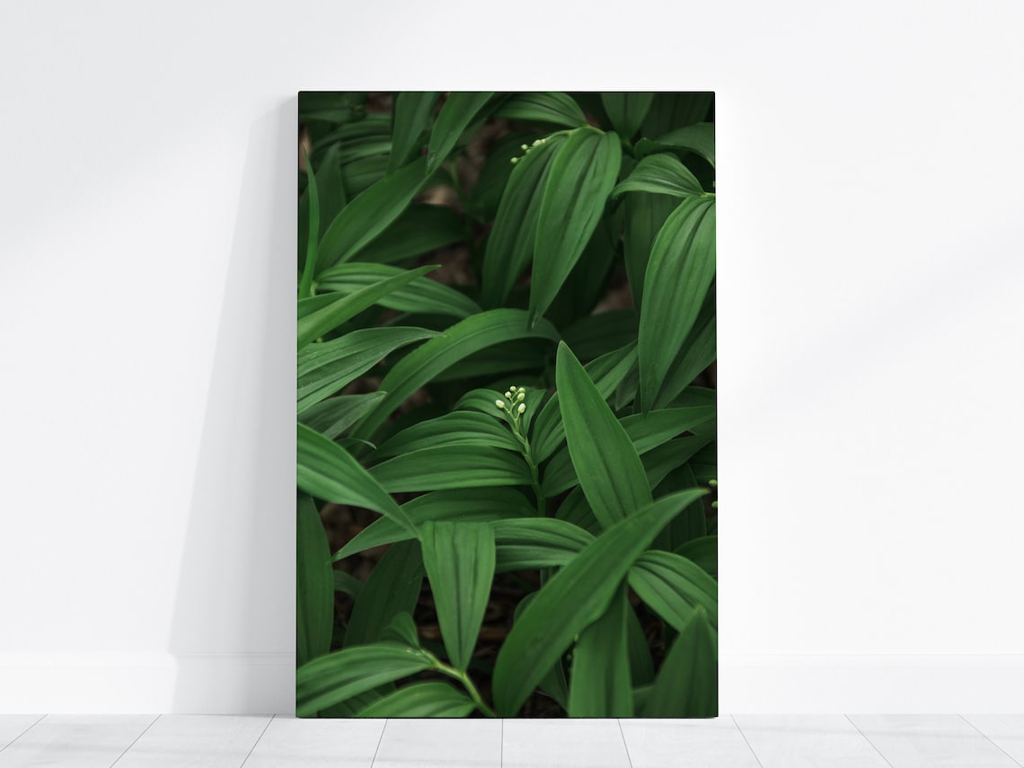 Lush Green Forest Foliage Print Printable Nature Wall Art, Calming ...