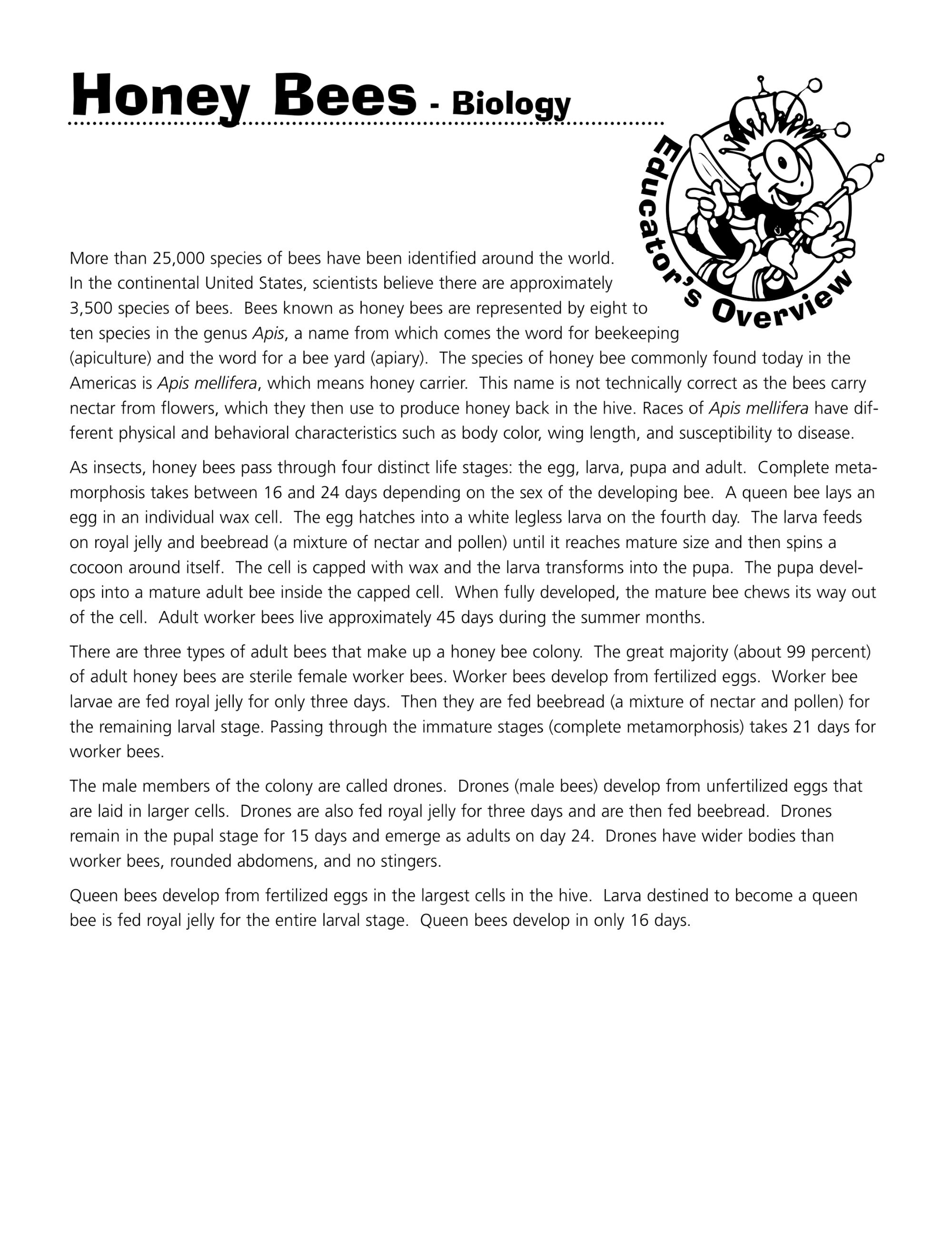 FREE GIFT, 4th Grade Science, 5th Grade Honey Bees, 6th Grade ...