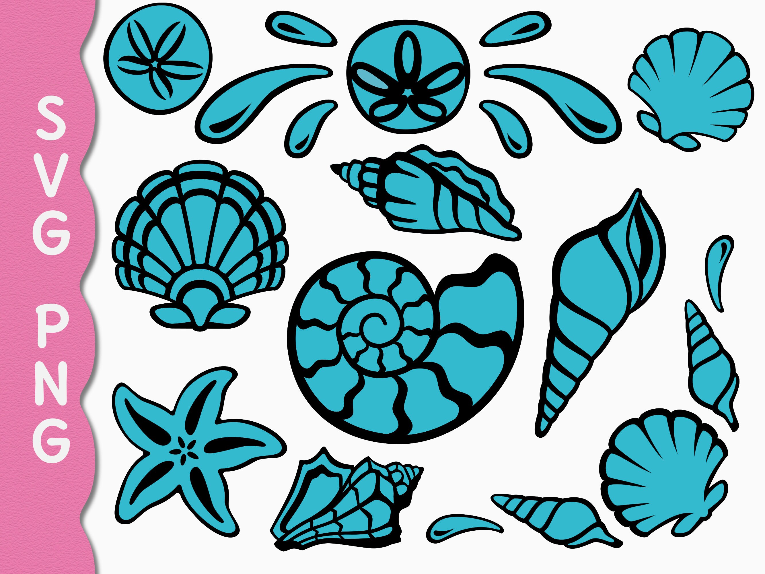 Layered SVG Ocean Seashells for Cricut Cutting and Silhouette - Etsy