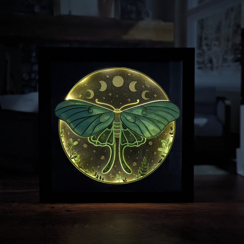Handmade Luna Moth Light-up Shadowbox: Home Decor Gift - Etsy