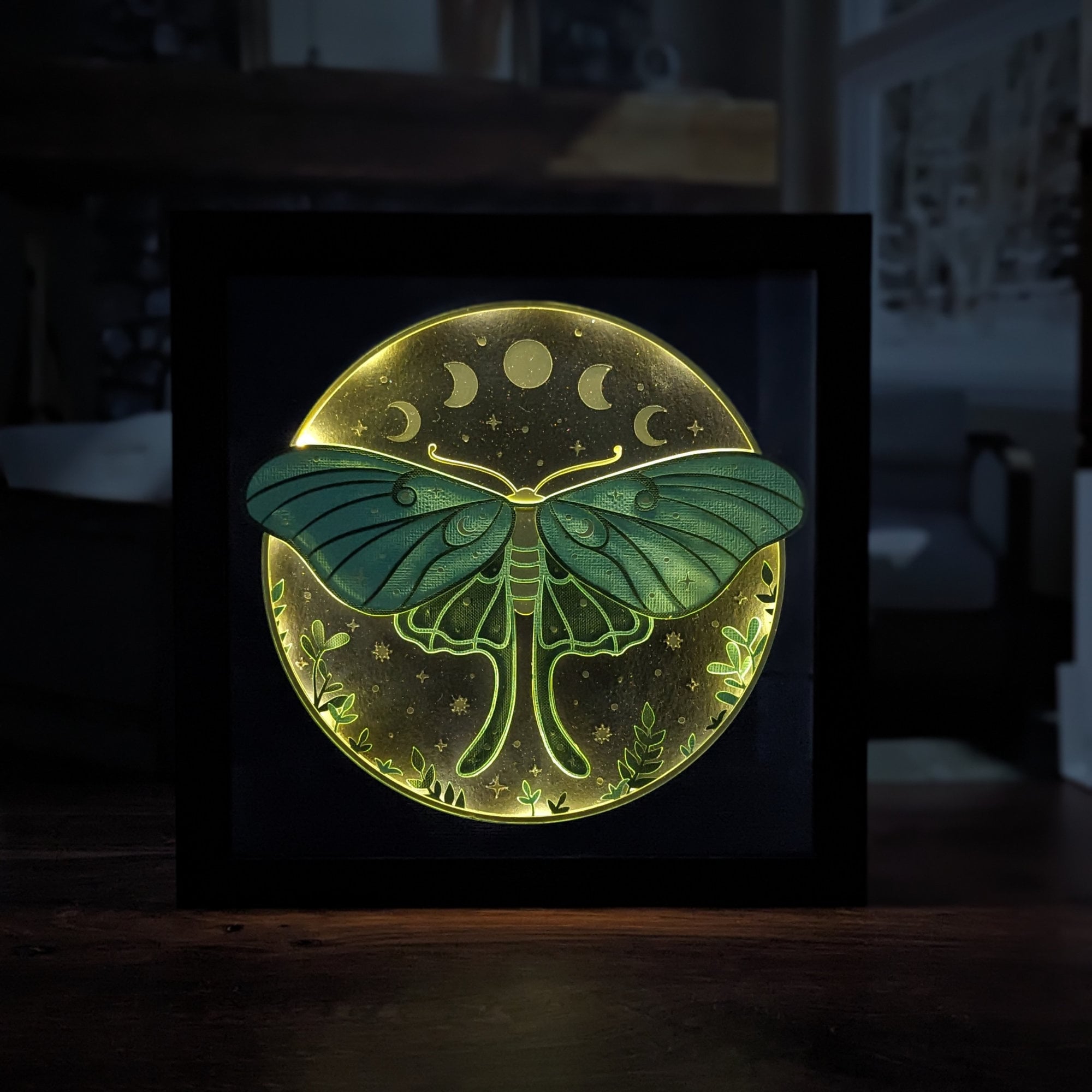 Handmade Luna Moth Light-up Shadowbox: Home Decor Gift - Etsy