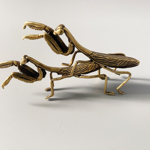 Mantis Accessories - Etsy