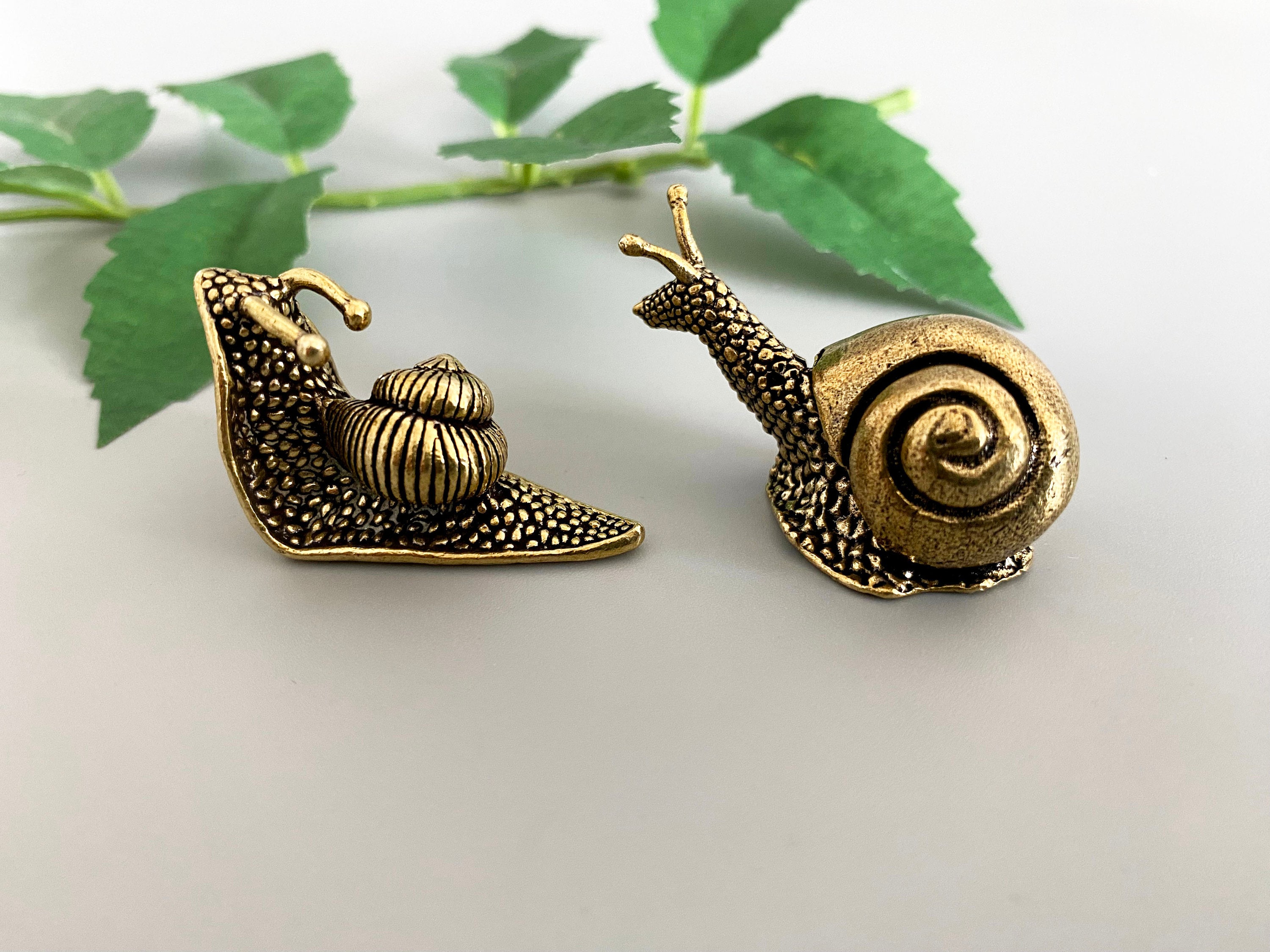 Abstract Images Of Snails And Tails